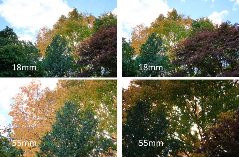 Chapter 5 – The Exposure Triangle » How To Get Off the Green Auto Setting