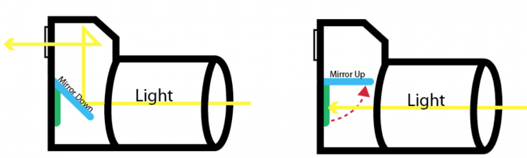 Chapter 1 – The Basics » How To Get Off the Green Auto Setting