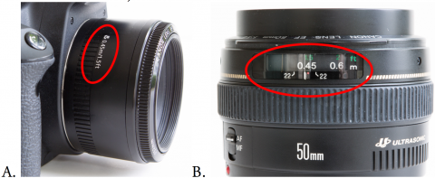 Chapter 1 – The Basics » How To Get Off the Green Auto Setting