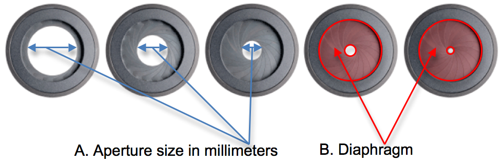 Aperture Exposure Exercise » How To Get Off the Green Auto Setting