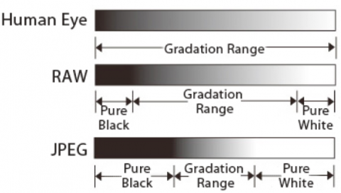 Chapter 8 – Fine Tuning Your Images » How To Get Off the Green Auto Setting