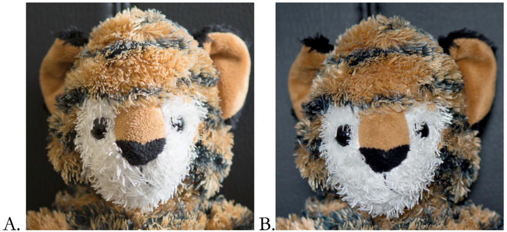 Good Light Vs. Bad Light » How To Get Off the Green Auto Setting